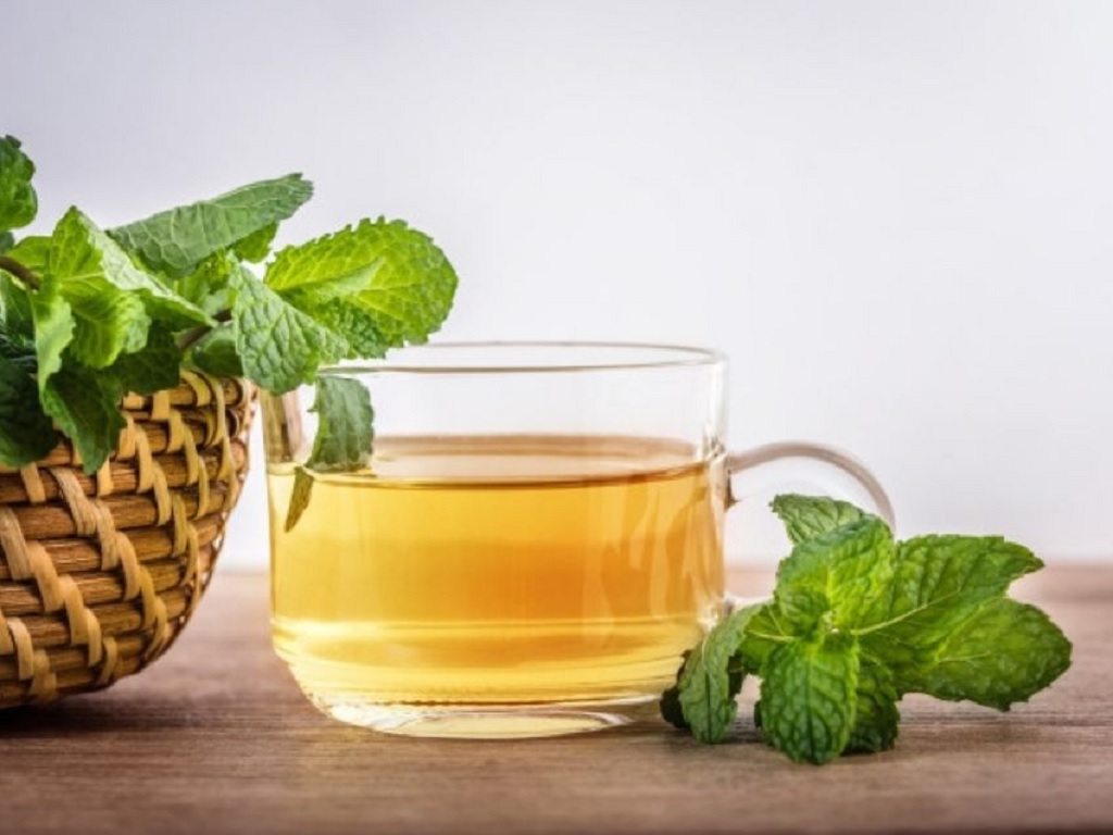 ¿Cómo hacer una taza de té de hierbabuena? - 100milrecetas